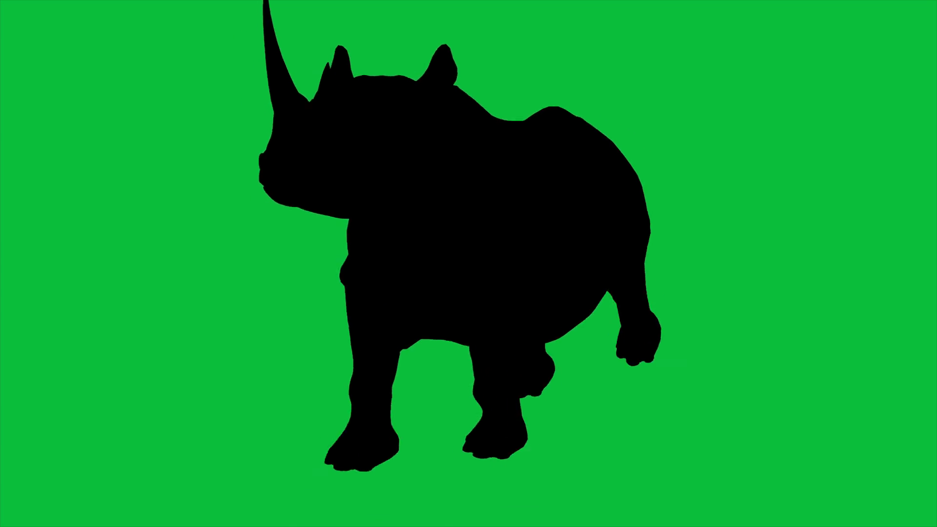 4k Animation - Rhino Walks On Green Screen Stock Motion Graphics SBV ...