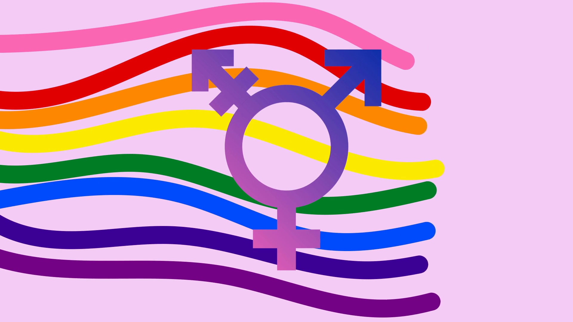 Animation Of Colors Lgbt Community Sign Of Stock Motion Graphics SBV ...