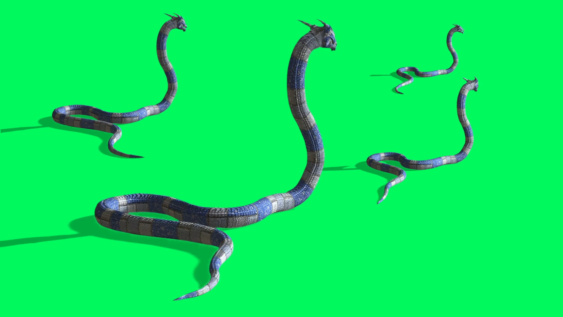 Animation Of Snake Attack - Python Green Stock Motion Graphics SBV ...