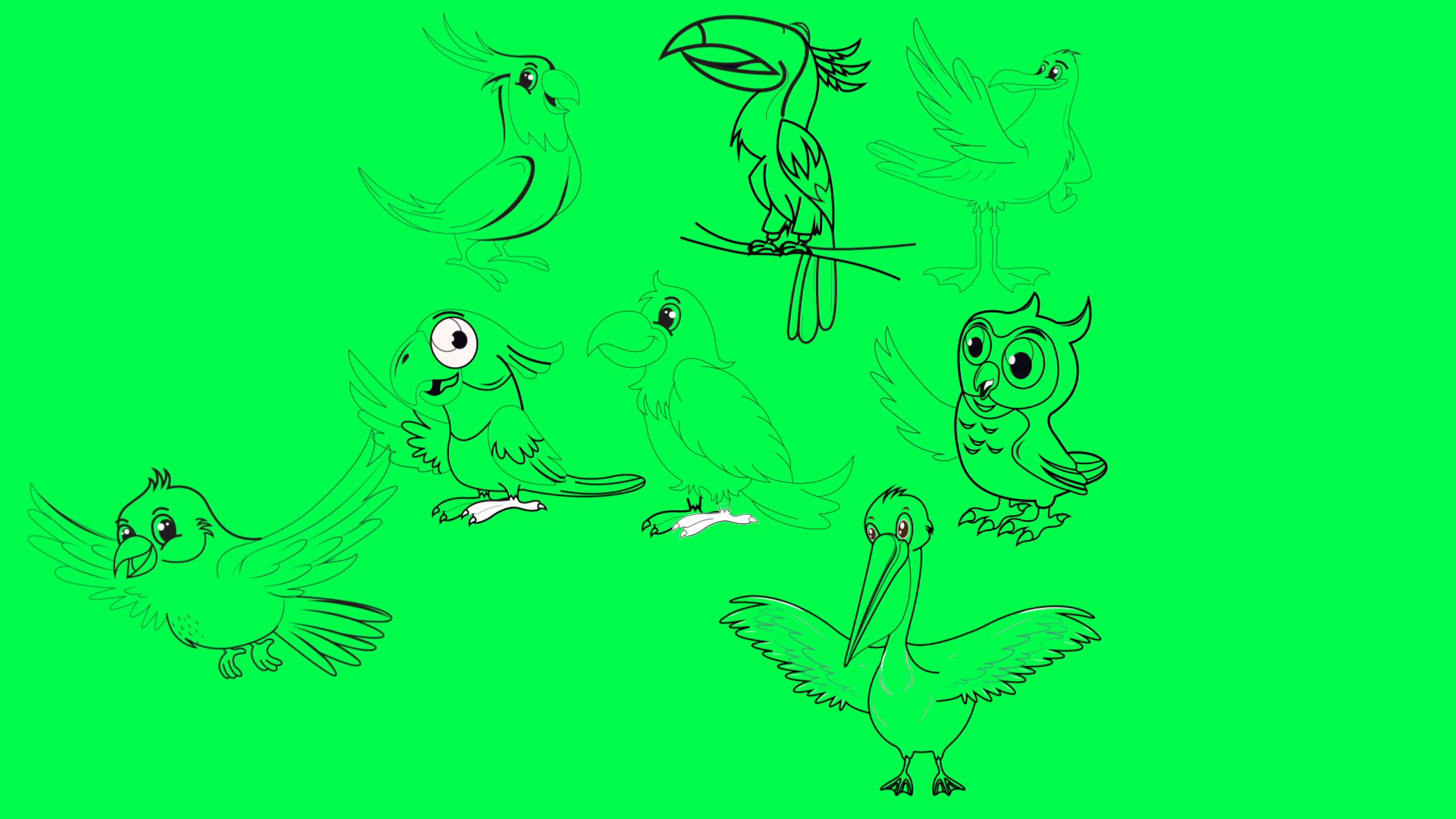 Cartoon Birds Sketch Collection On Green Stock Motion Graphics SBV ...