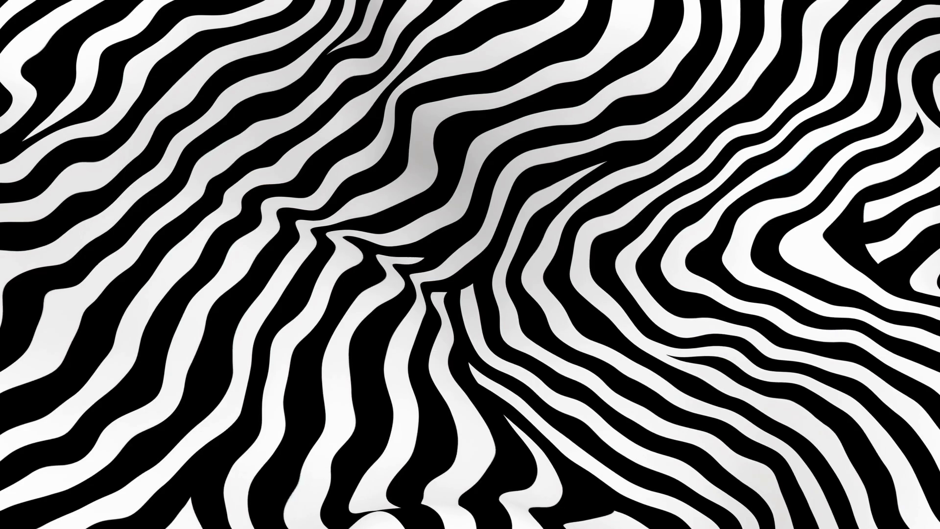 Animation - Black White Psychedelic Optical Stock Motion Graphics SBV ...
