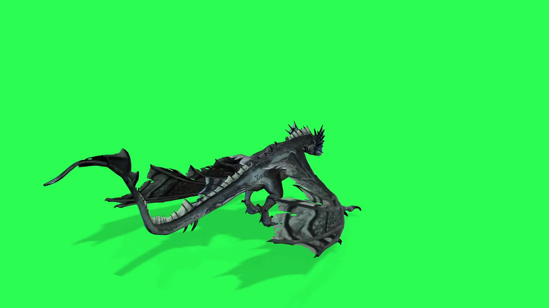 Animation - Dragon Flaps Wings On Green Stock Motion Graphics SBV ...