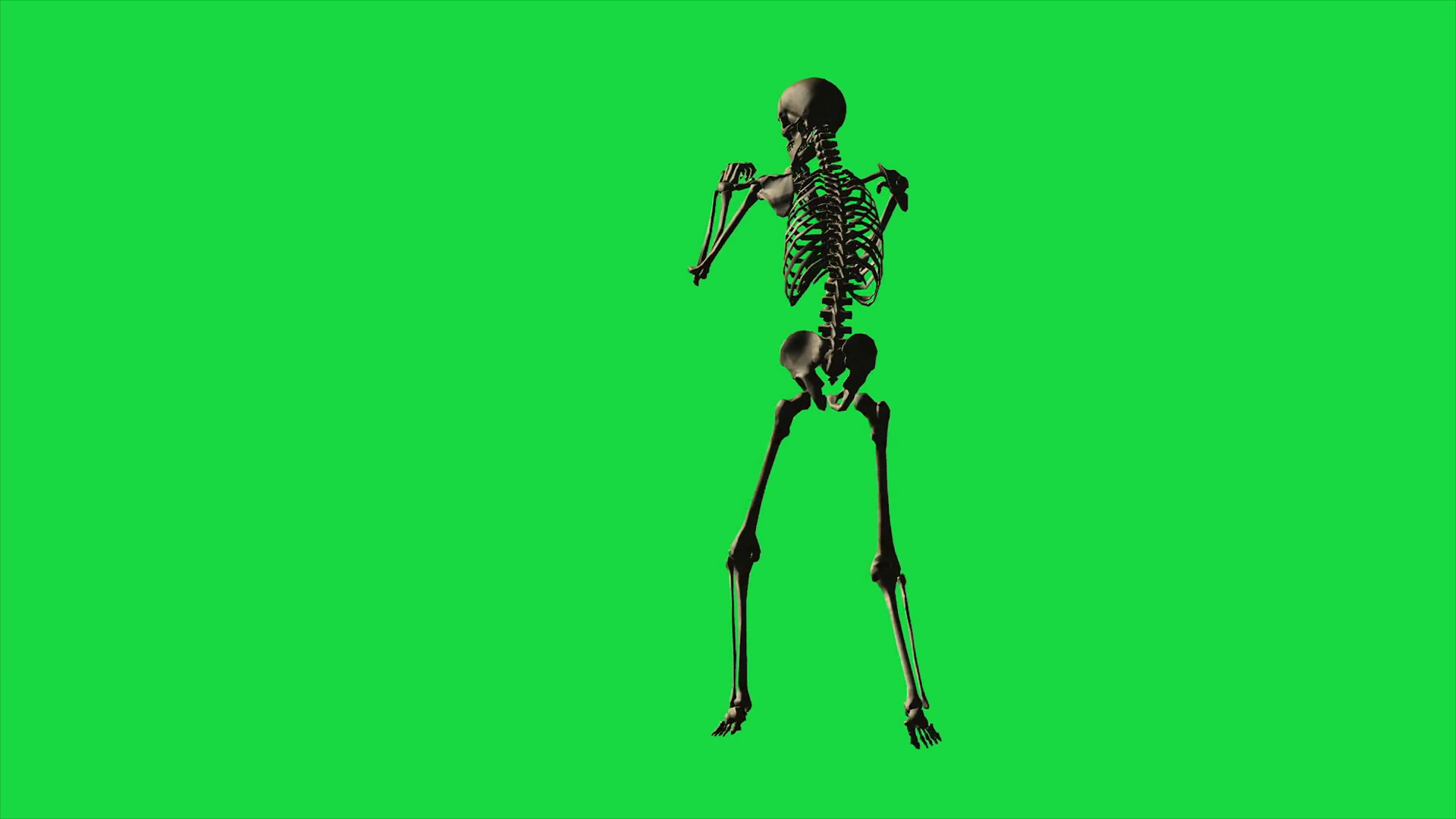 Skeleton Boxing - Separate On Green Screen Stock Motion Graphics SBV ...
