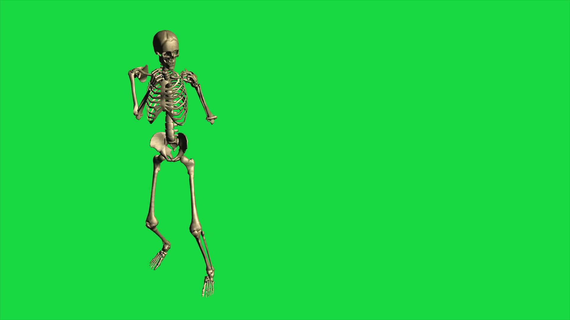 Skeleton Boxing - Separate On Green Screen Stock Motion Graphics SBV ...