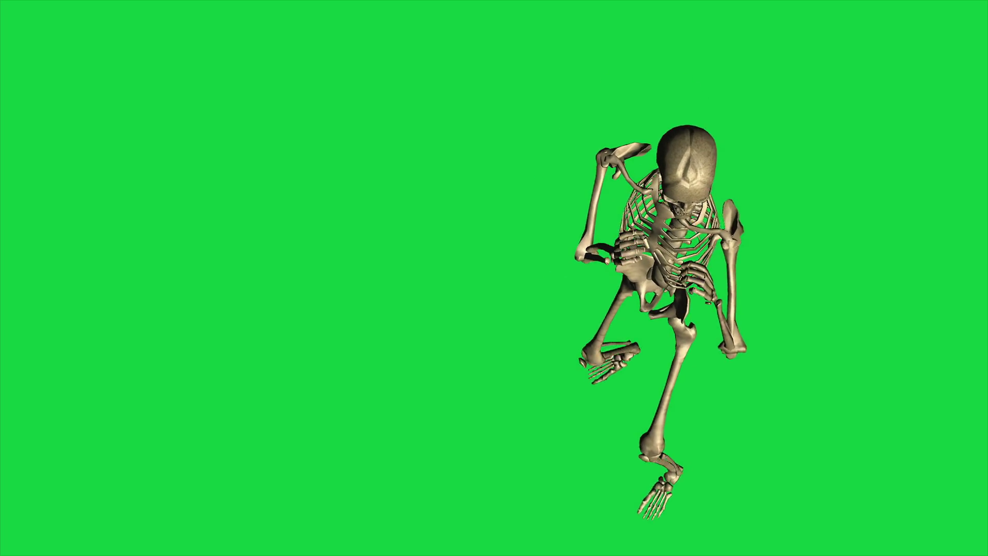 Skeleton Boxing - Separate On Green Screen Motion Background 00:21 SBV ...