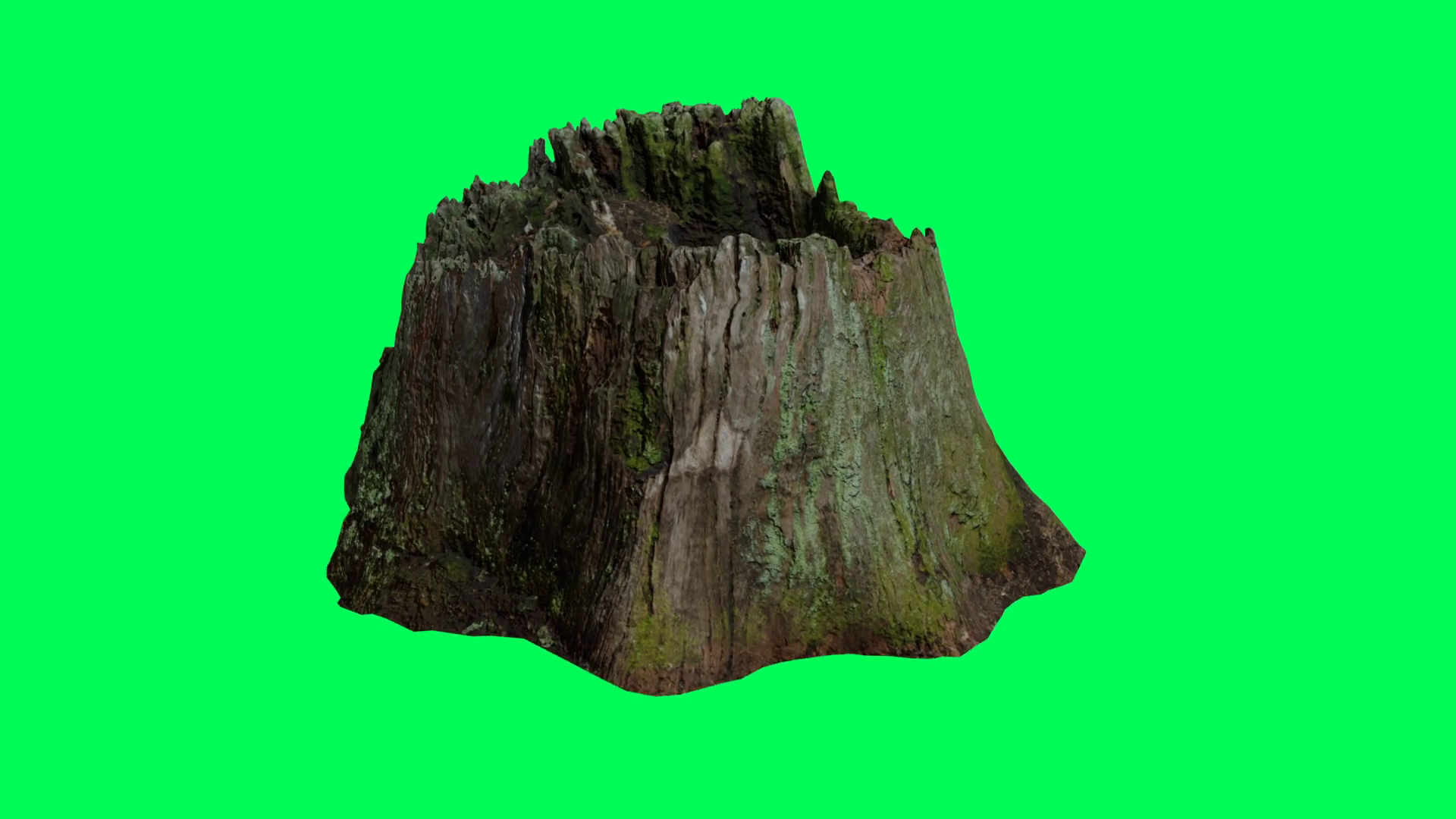 Animation Of Old Abandoned Tree Stump In Stock Motion Graphics SBV ...