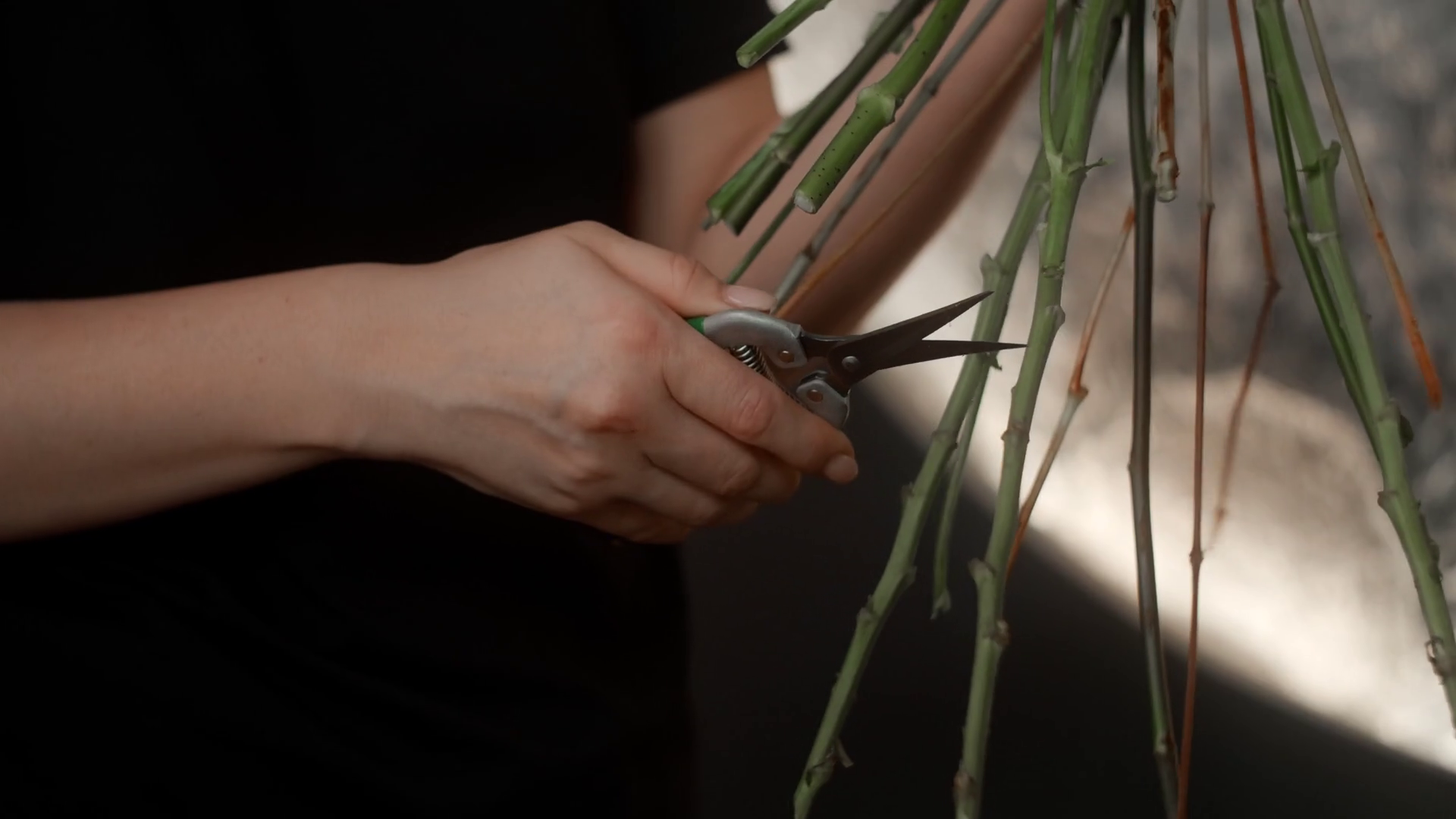 The Florist Cuts Flowers Composition Stock Footage SBV-348556595 ...