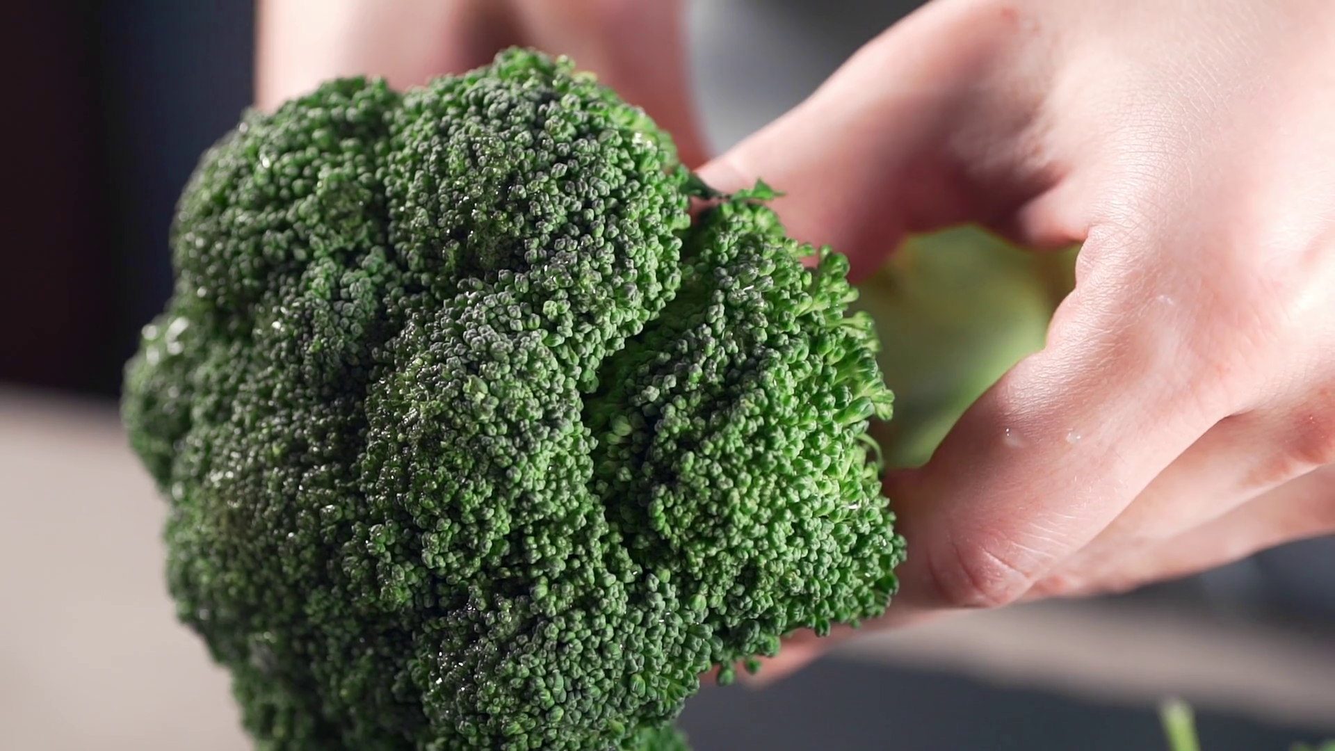 Chef Cooks Broccoli Vegetable Meals Dishes Stock Footage SBV-313403572 ...