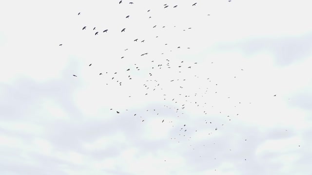 Bullets Falling Stock Footage: Royalty-Free Video Clips - Storyblocks