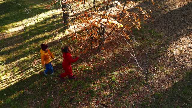 Children Playing Outside | Animals stock footage - Storyblocks