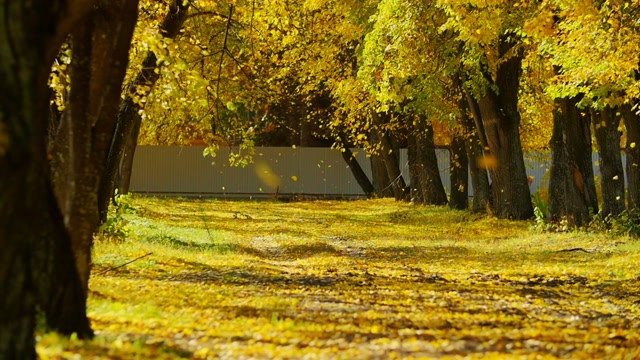 Slow Motion Nature Stock Video Clips & Footage - Storyblocks