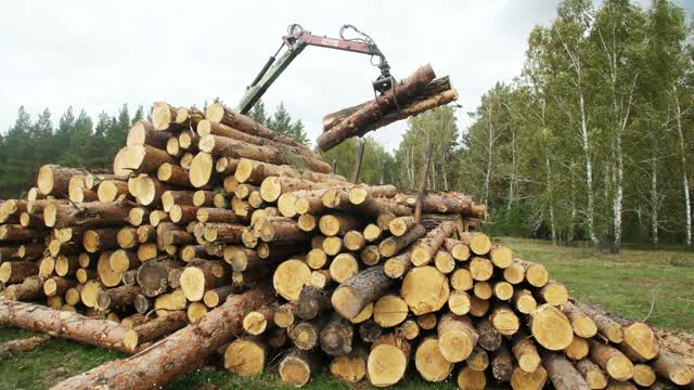 Timber Machine Stock Footage: Royalty-Free Video Clips - Storyblocks