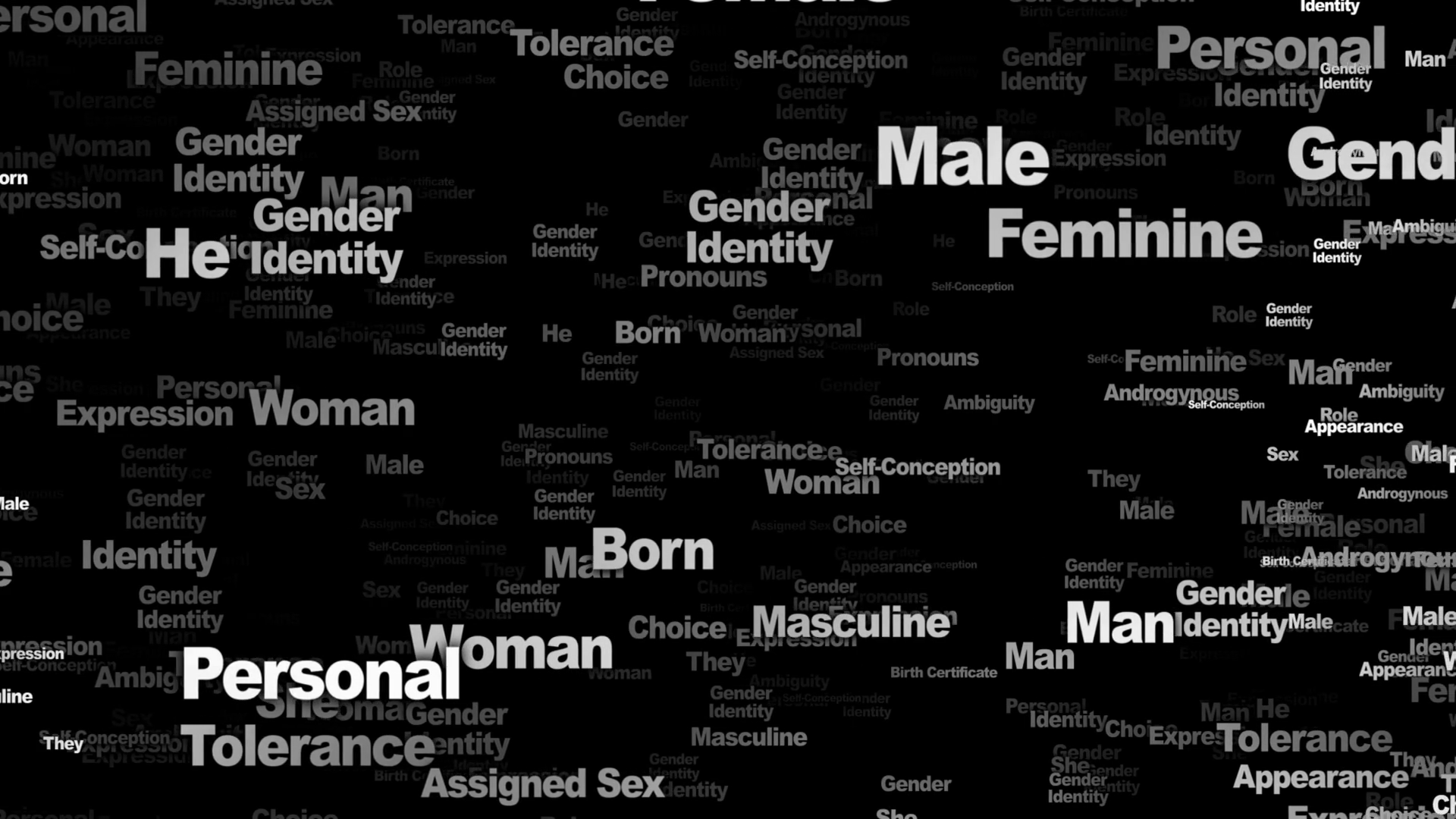 Gender Identity Keywords Animation Stock Motion Graphics SBV-346877588 ...