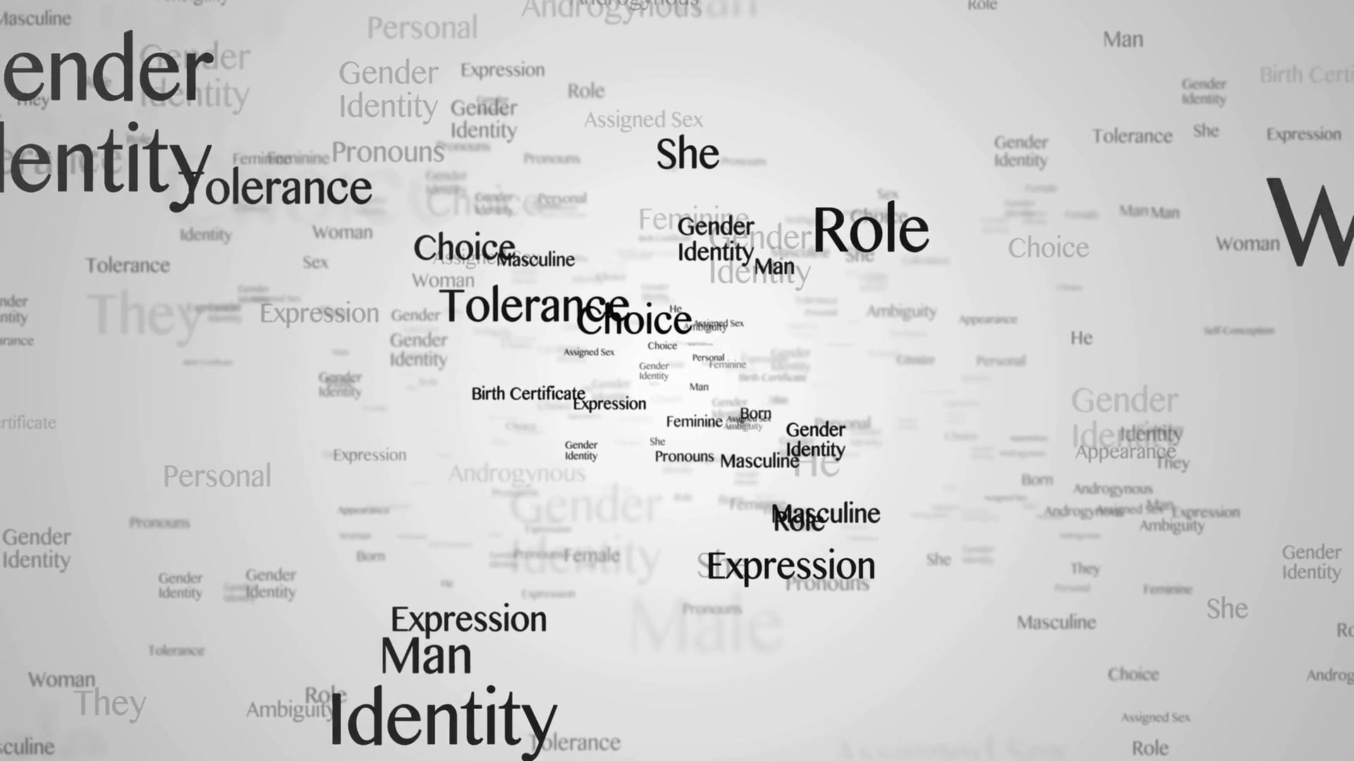 Gender Identity Keywords Animation Stock Motion Graphics SBV-347578134 ...