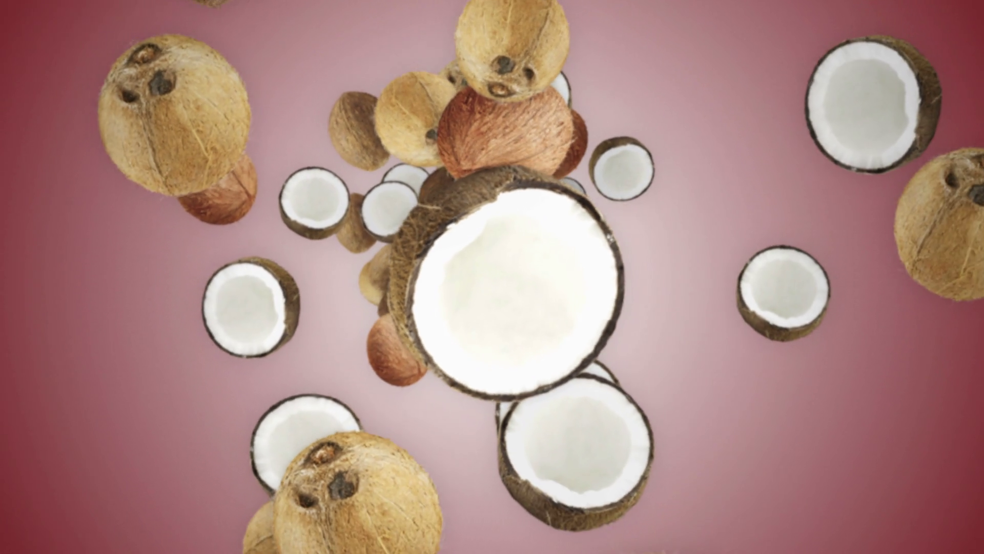 Falling Coconuts Animation With Alpha Matte Stock Motion Graphics SBV ...