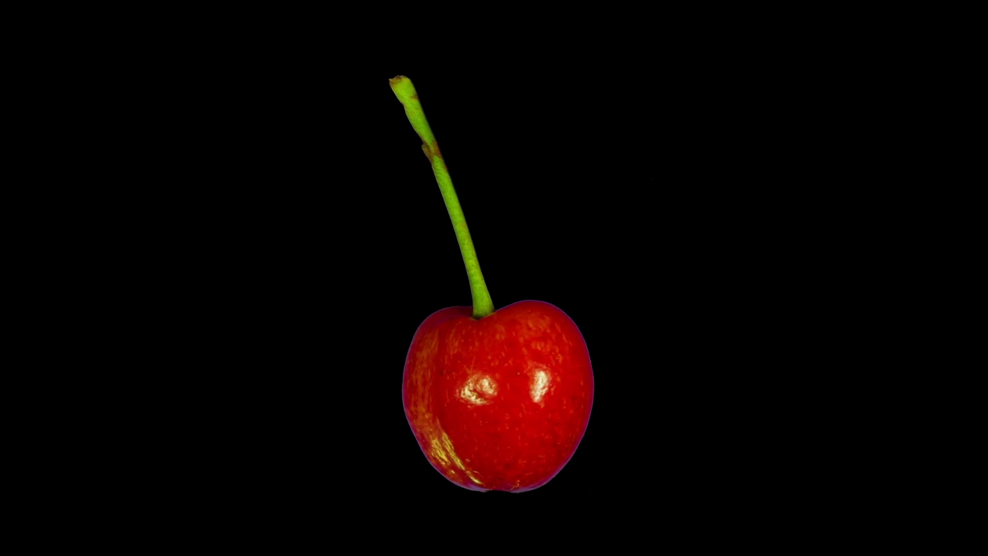 Rotating Cherry Isolated Fruit With Alpha Stock Motion Graphics SBV ...