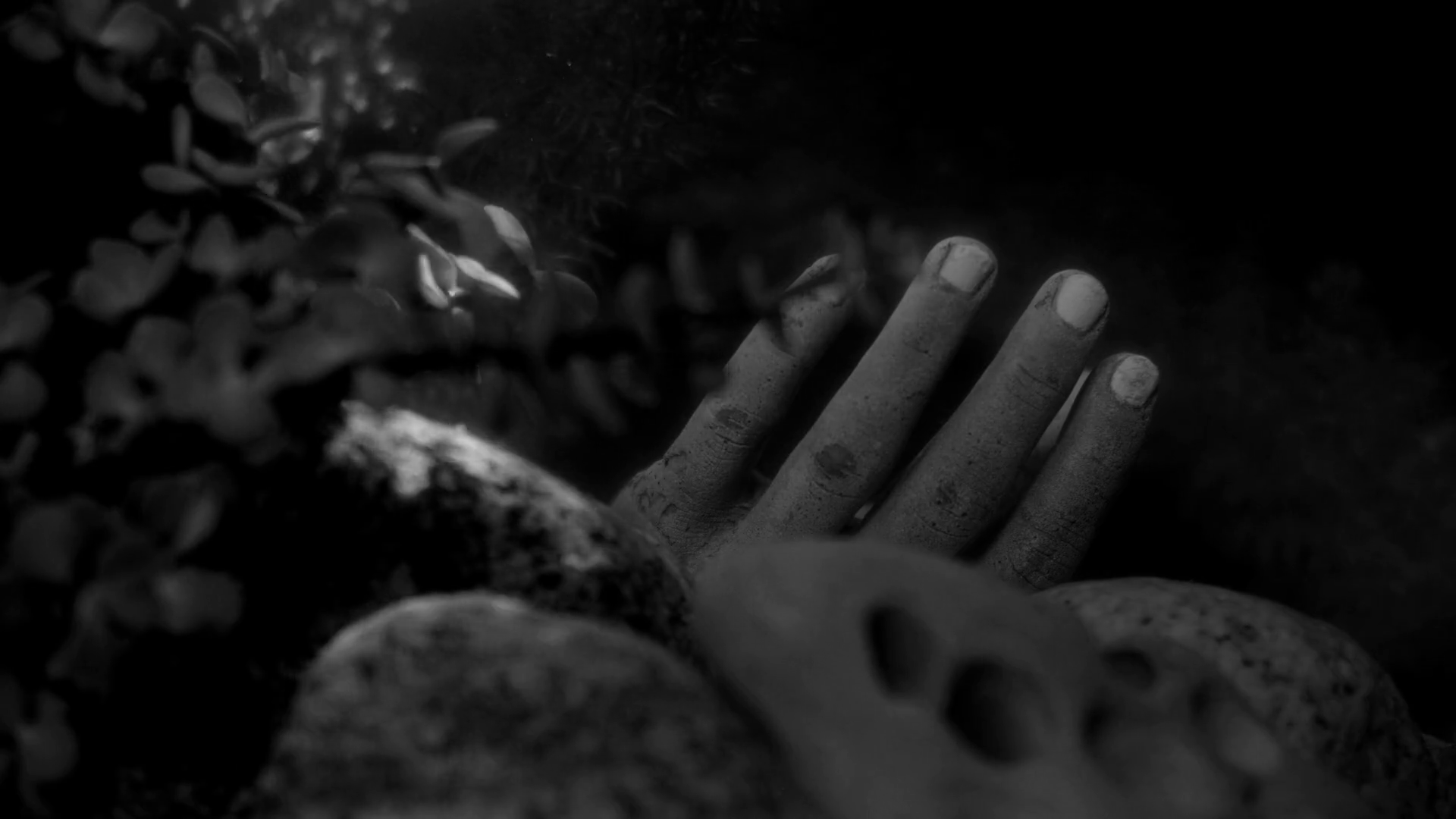 Deceased Human Hand On Lake Bottom Stock Footage SBV-336562197 ...