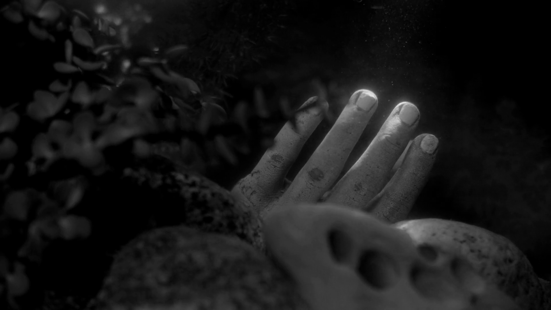 DECEASED HUMAN HAND ON A LAKE BOTTOM. A FLASHLIGHT SEARCHES FROM ABOVE ...