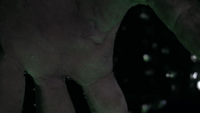 Decomposing Body Stock Footage: Royalty-Free Video Clips - Storyblocks