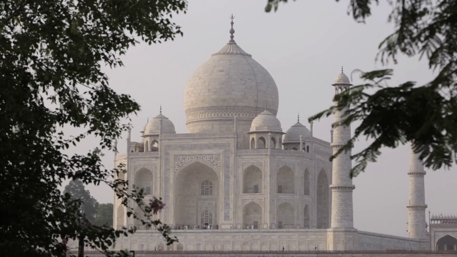 MH LD Taj Mahal with Trees in Foreground / Agra, India Stock Video ...
