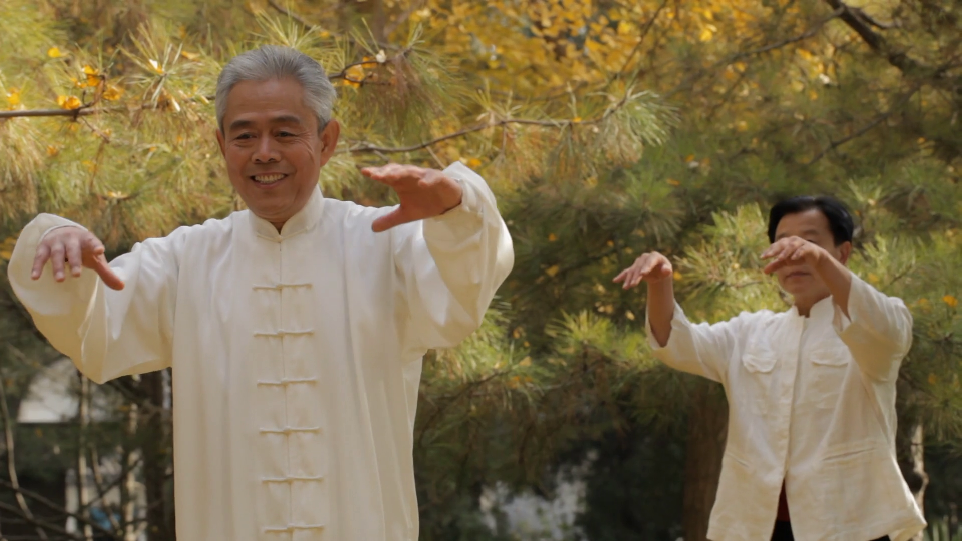 Ms Pan Two Elderly Men Doing Tai Chi In Park Stock Footage SBV ...