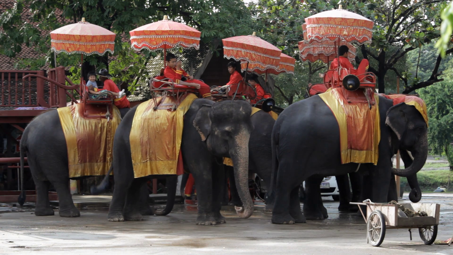Ws Elephants Carrying Tourists / Ayutthaya Stock Footage SBV-311427453 ...