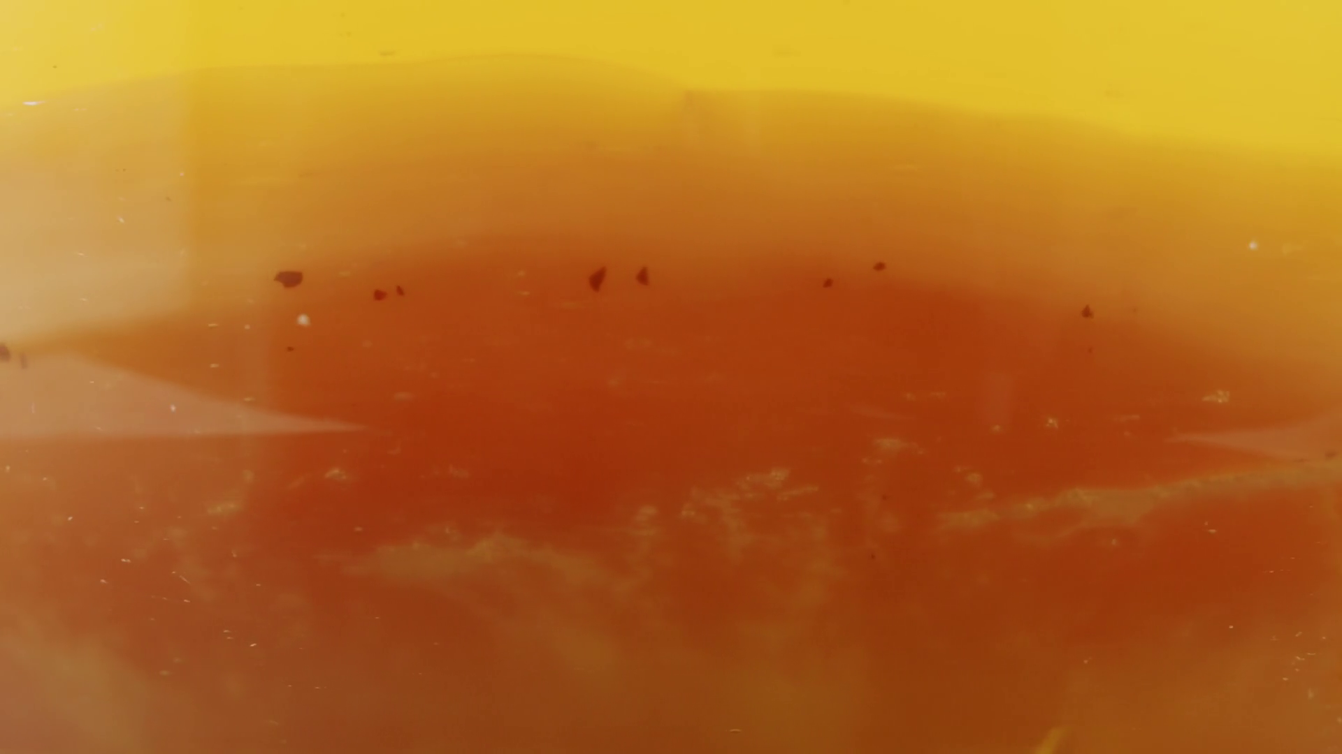 Kombucha Tea Scoby Fungus Homemade Kombucha Stock Footage SBV-352016344 ...