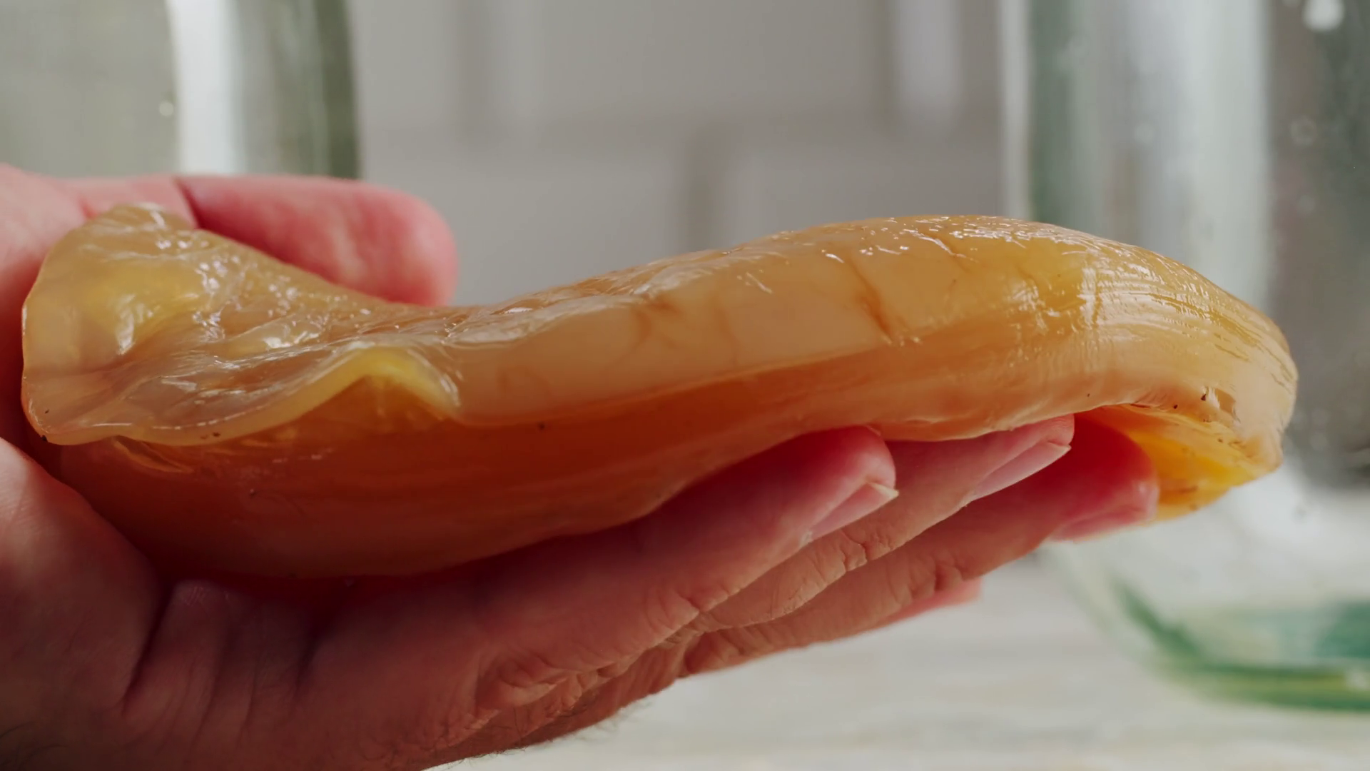 Kombucha Tea Scoby Fungus Homemade Kombucha Stock Footage SBV-351688480 ...