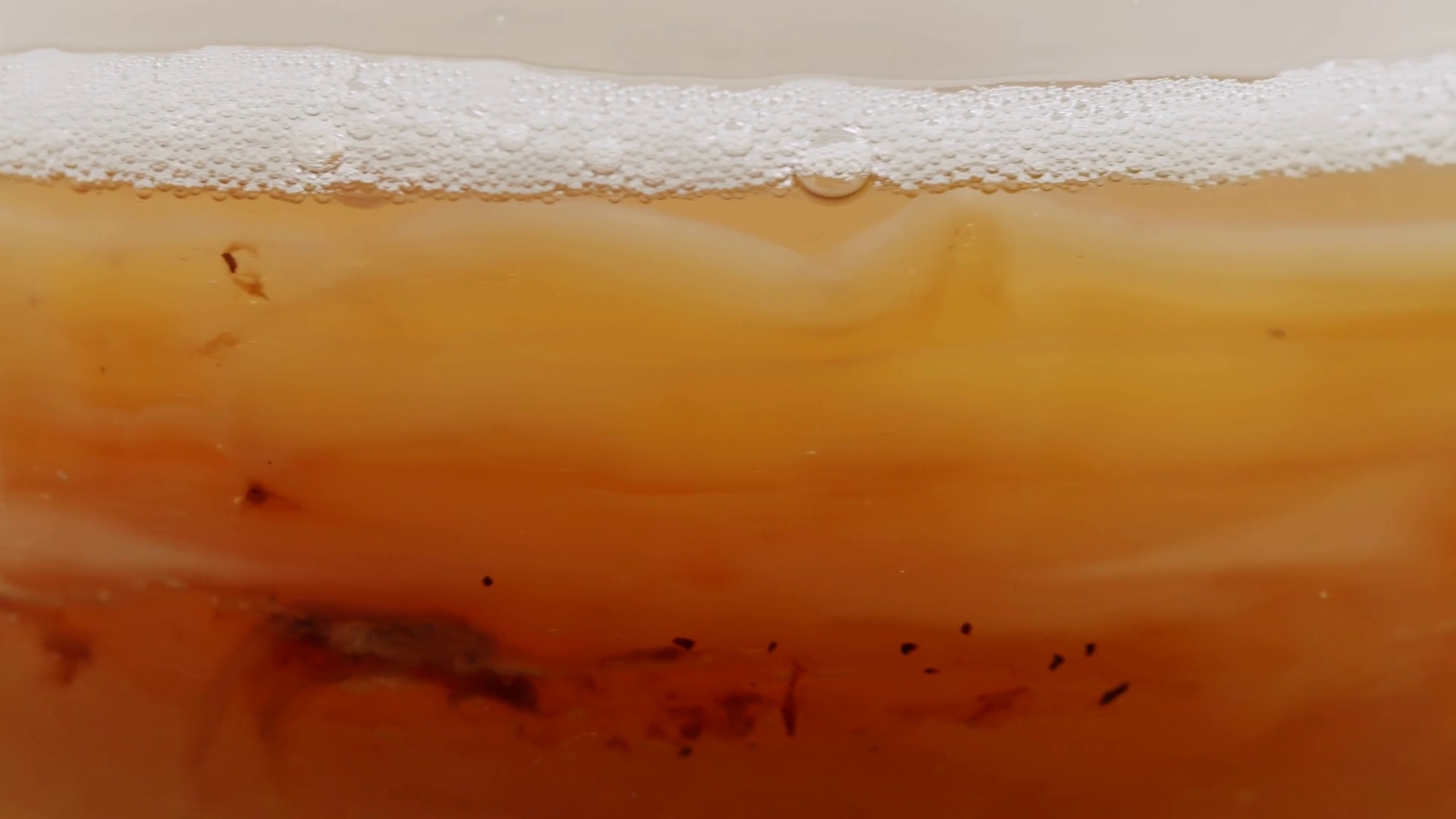 Kombucha Tea Scoby Fungus Homemade Kombucha Stock Footage SBV-352017349 ...