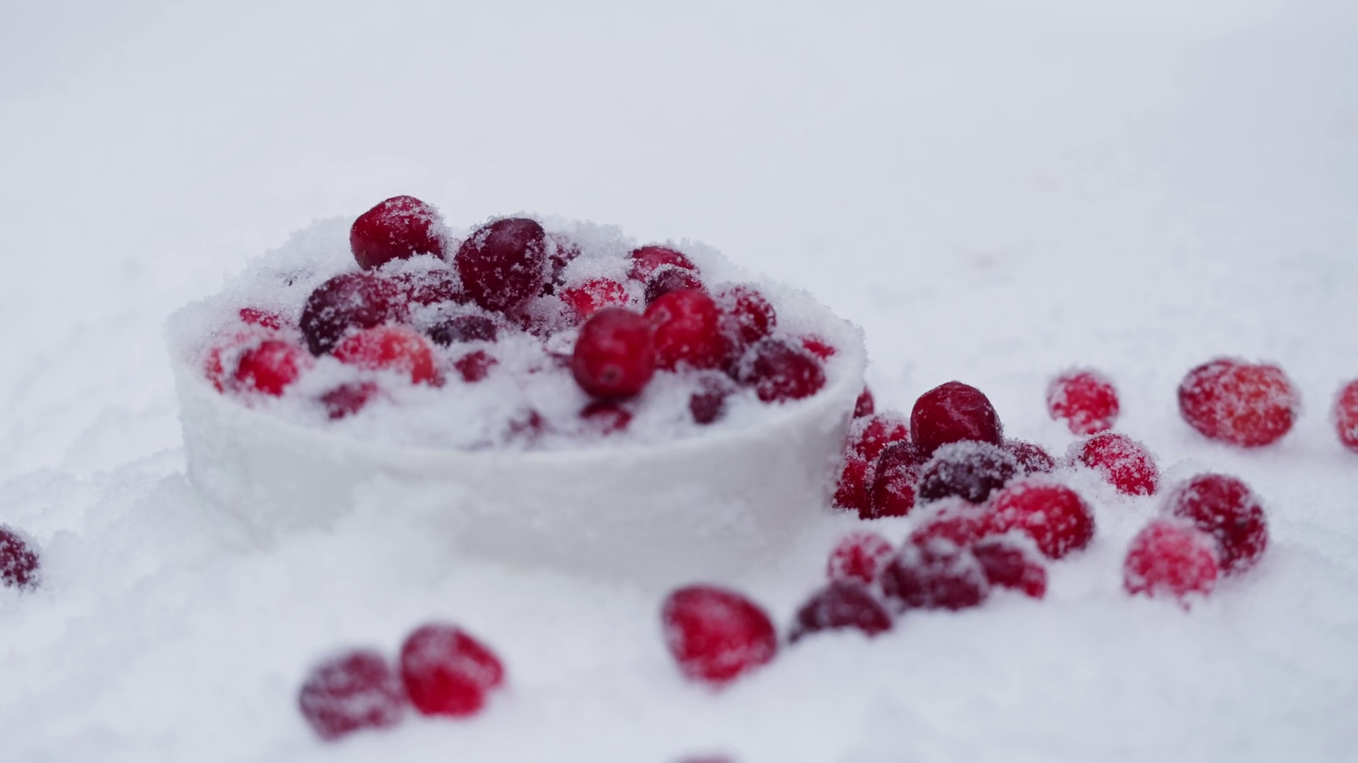 Frozen Cranberries In Snow Backgroundclose Stock Footage SBV-351736093 ...