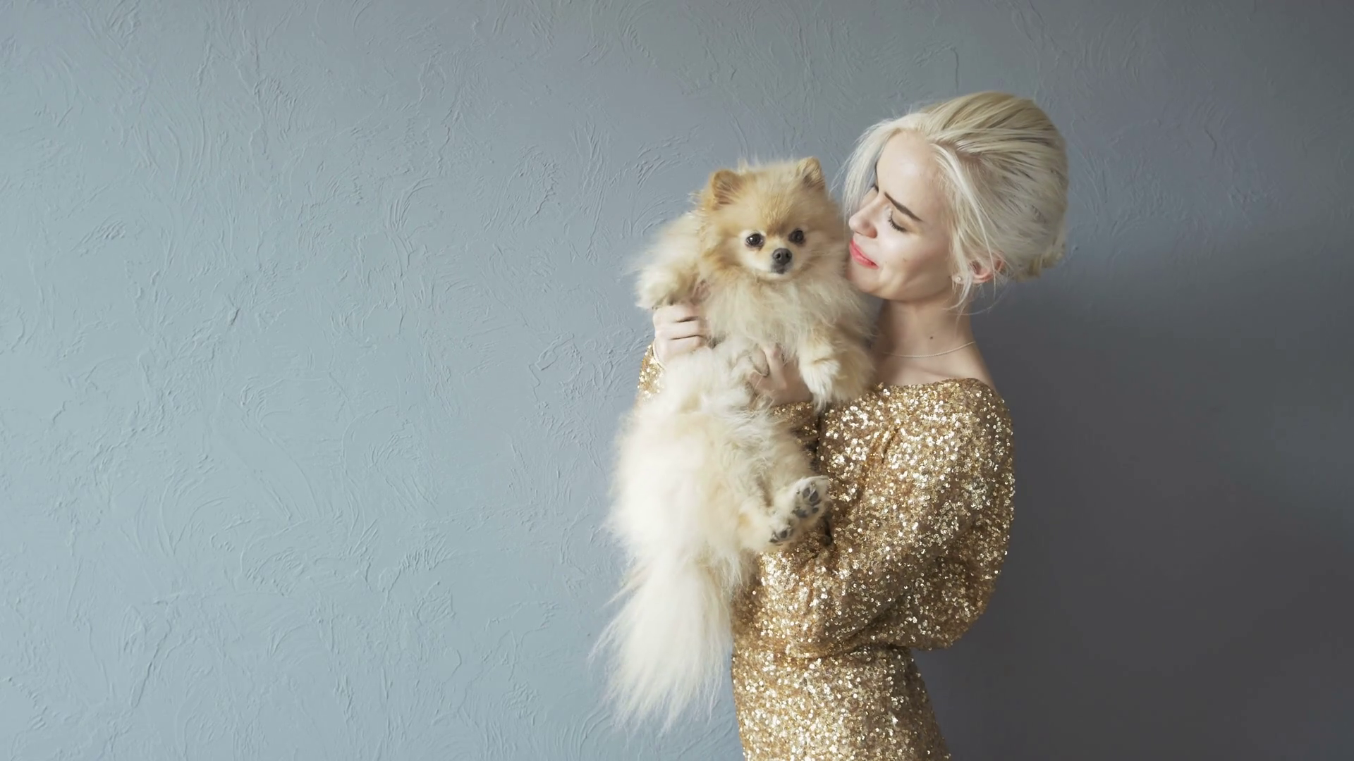 Stunning Woman With Spitz Dog On Grey Stock Footage SBV-306498440 ...