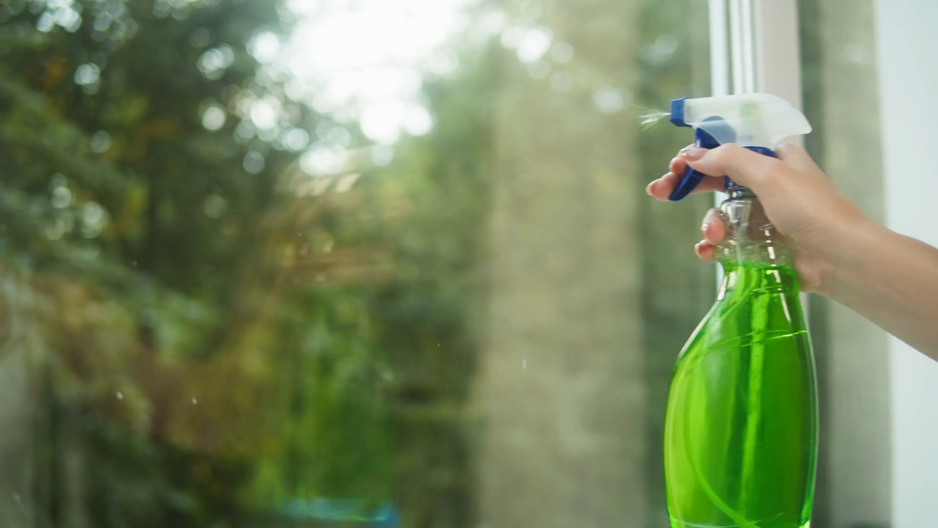 Hand Spraying On Window With Detergent From Stock Footage SBV-346656130 ...