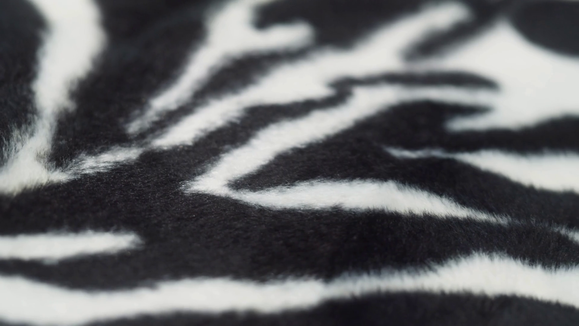 Zebra cloth texture close-up. Black and white striped fabric, animal ...