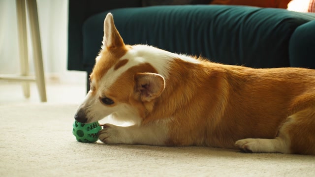 Destroyed Toy Stock Footage: Royalty-Free Video Clips - Storyblocks