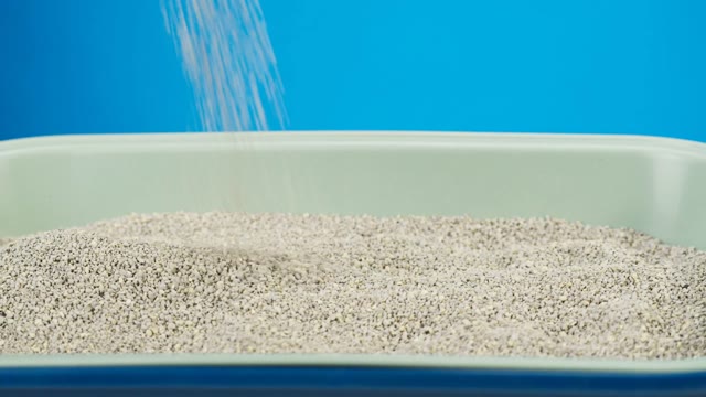 Sand Box Stock Footage: Royalty-Free Video Clips - Storyblocks