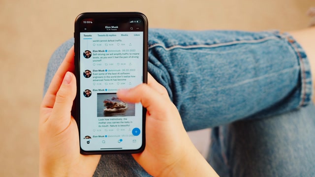 Musk Stock Footage: Royalty-Free Video Clips - Storyblocks