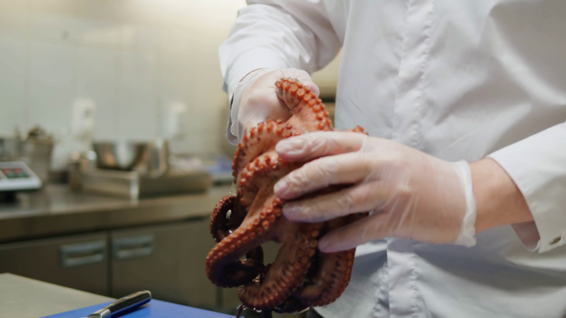Chef Cooking Octopus Japanese Cuisine Man Stock Footage SBV-348627237 ...