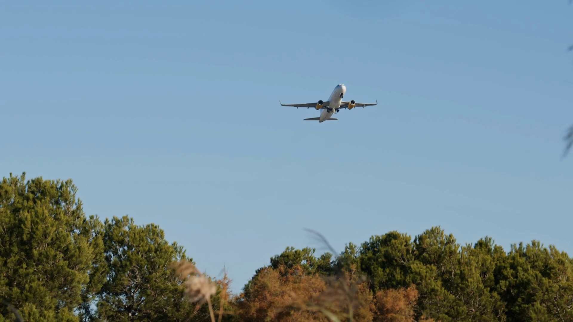 Airplane Fly Away Blue Sky Large Airplane Is Stock Footage SBV ...