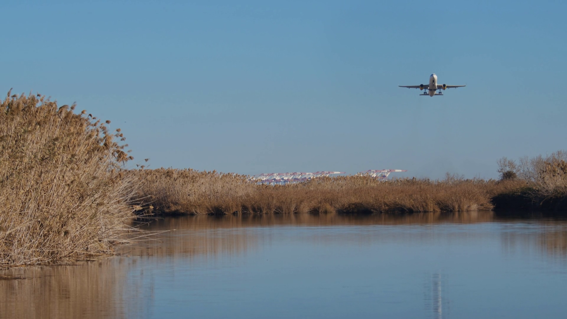 Airplane Fly Away Blue Sky Large Airplane Is Stock Footage SBV ...