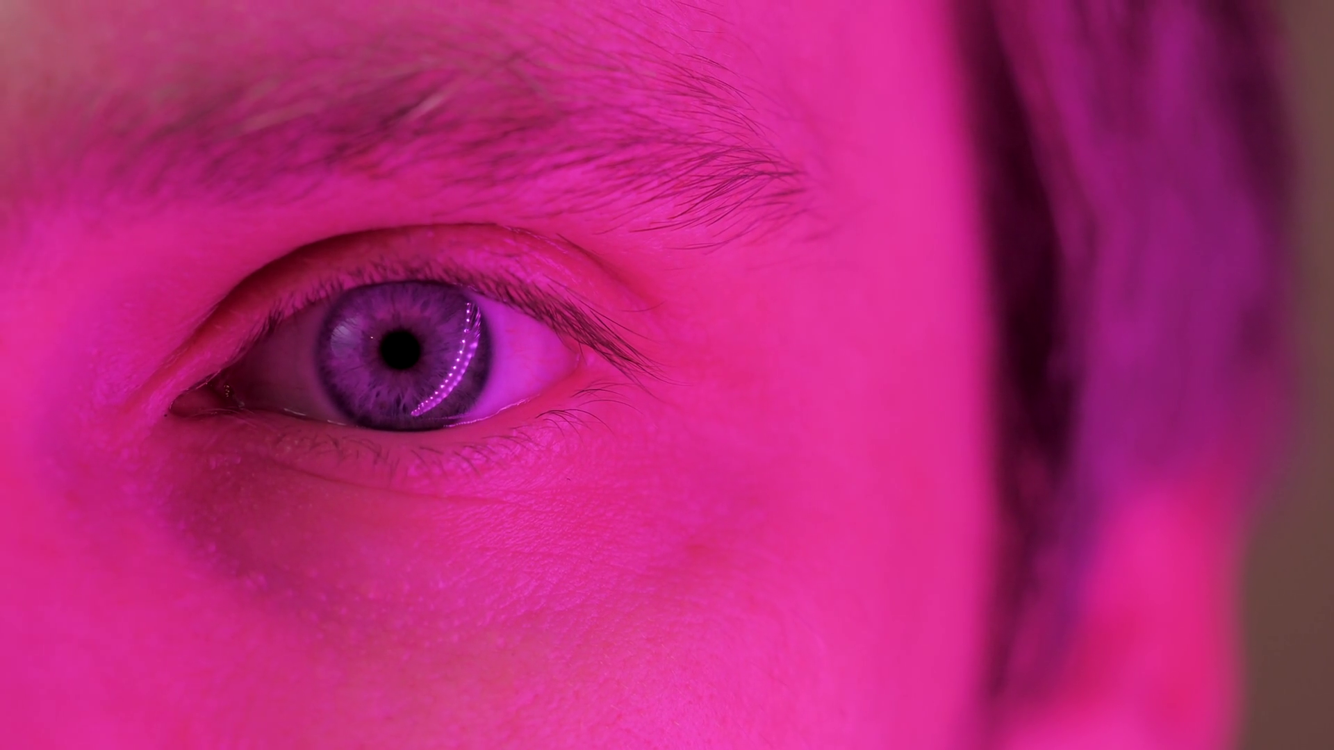 Close Up Of Hacker Eyes In Macro Looking At Computer Screen In Darkness Close Up Of Hacker Eyes In Macro Looking At Computer Screen In Darkness
