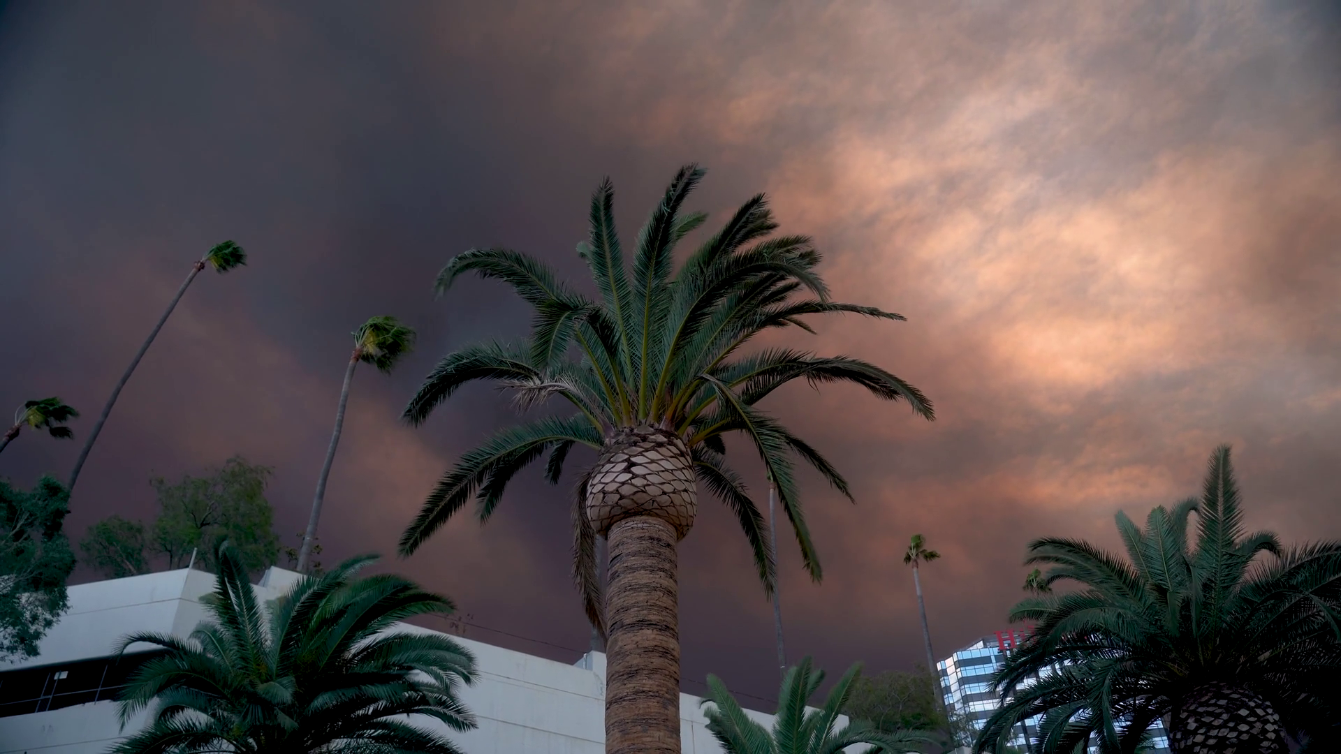 Smoke-filled Sky Smog From Wildfire Pacific Stock Footage SBV-351739914 ...