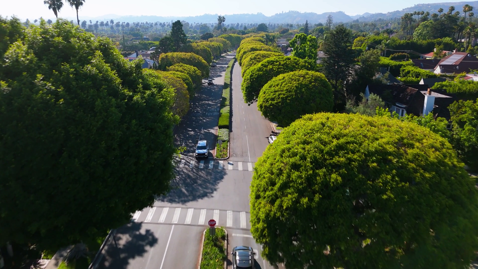 Lush Green Boulevard In Beverly Hills With Stock Footage SBV-352414935 ...