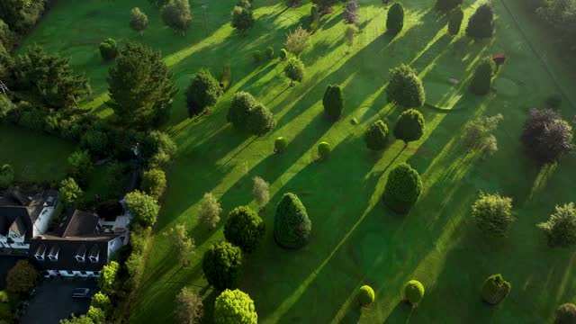 Green Shade Stock Footage: Royalty-Free Video Clips - Storyblocks