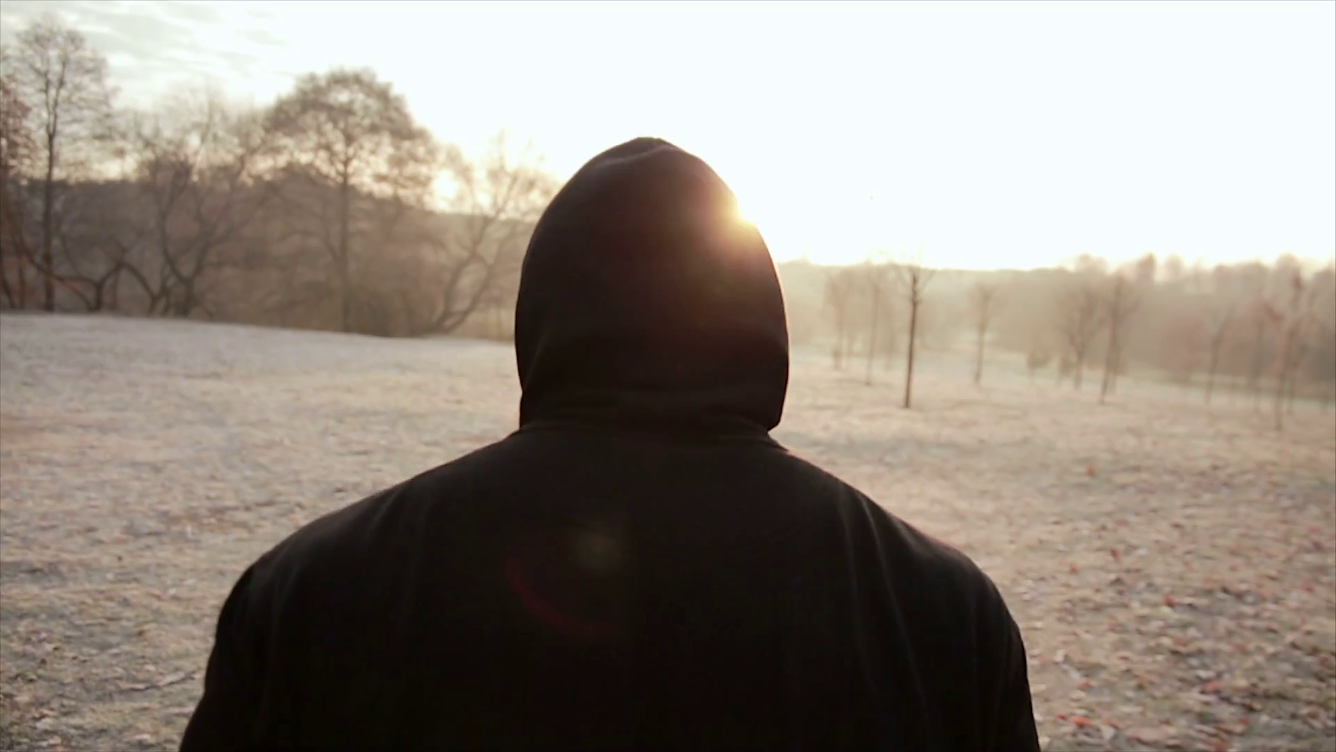 Man Walking In Park View From Back Stock Footage SBV-305919932 ...