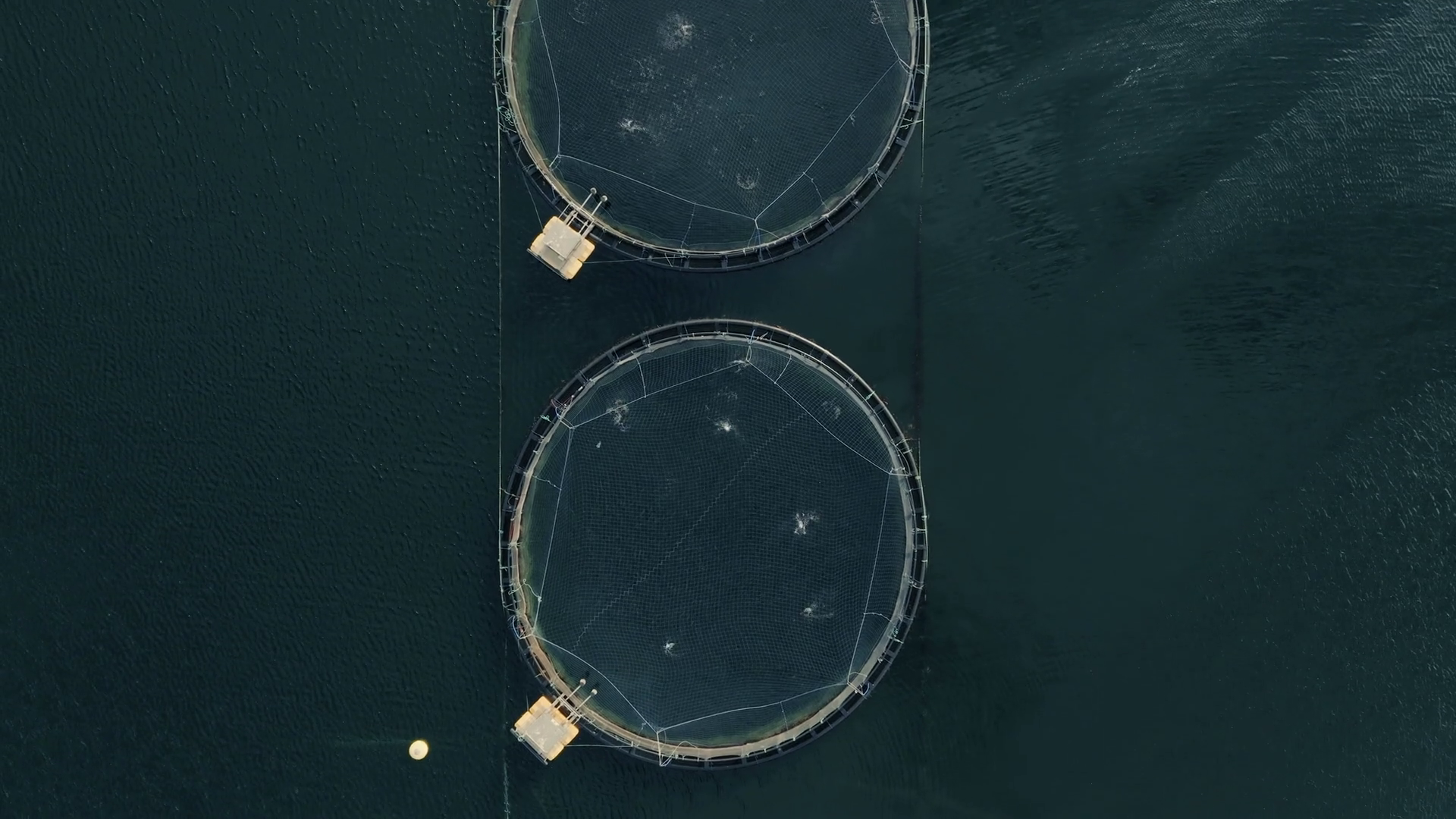 Top Down View Of Fishing Farm Enclosures Stock Footage SBV-347795177 ...