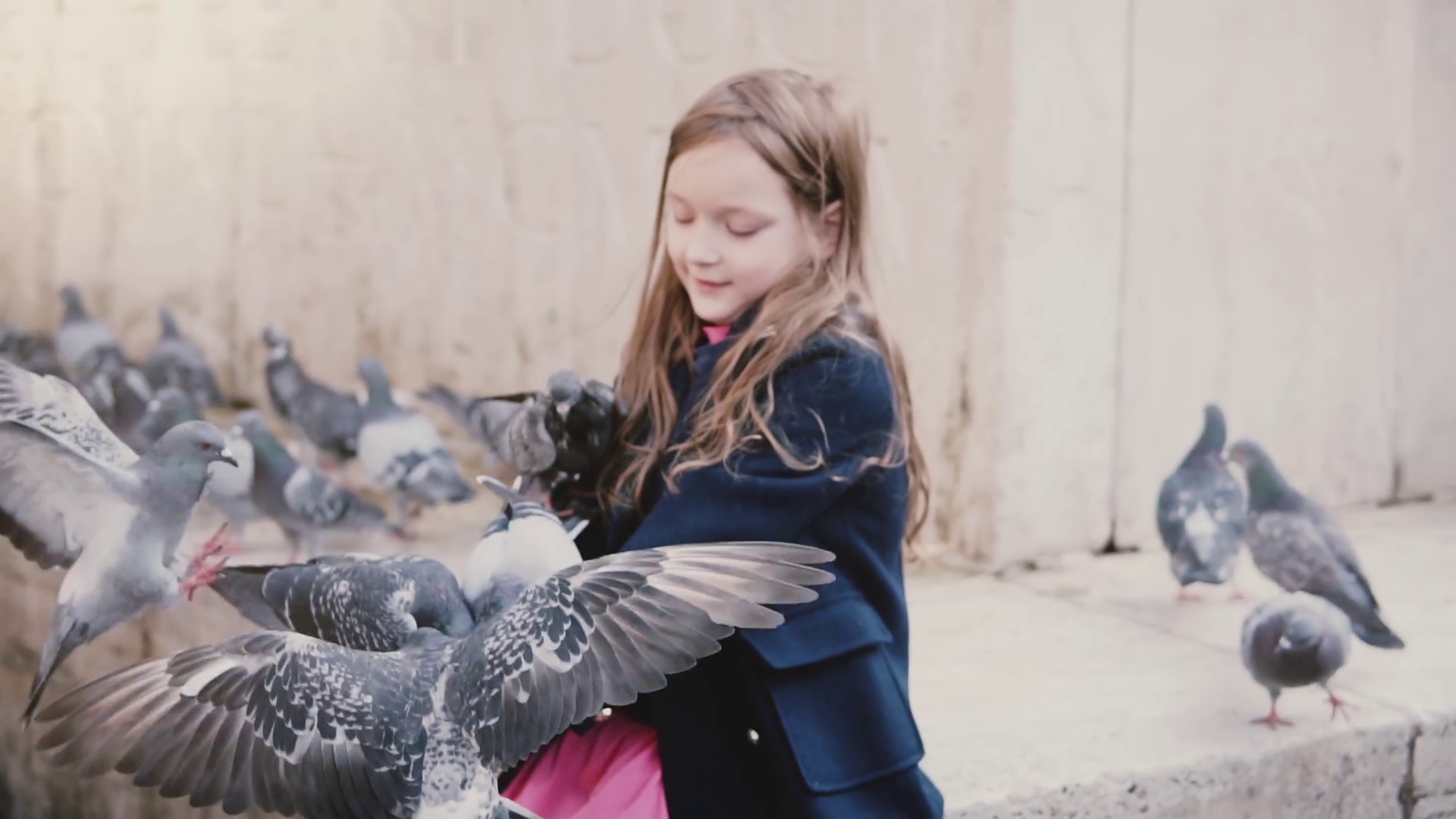 Child Feeds Birds In Slow Motion Peaceful Stock Footage SBV-321611131 ...