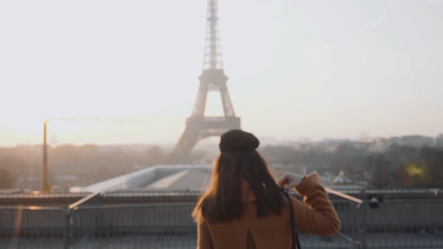 Paris | Animals stock footage - Storyblocks