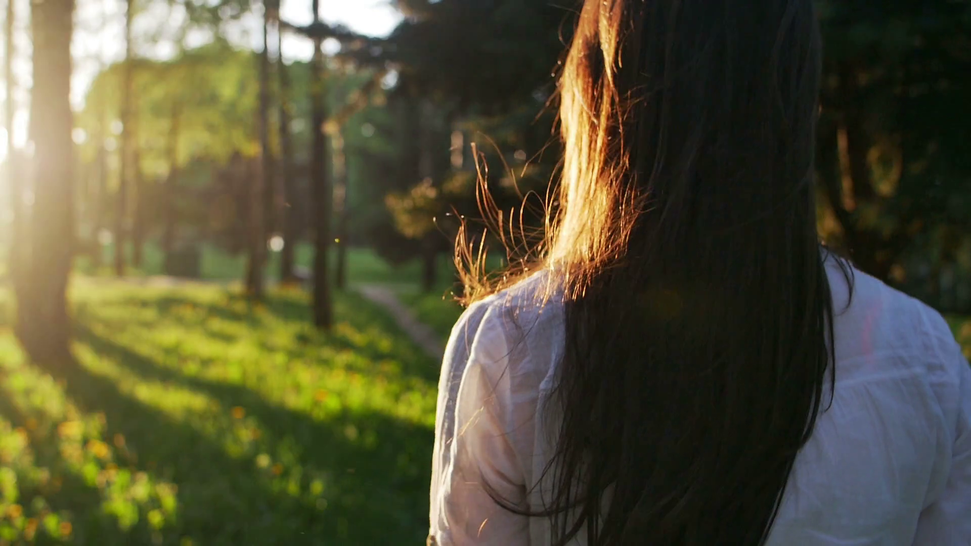 Woman Walking In Forest At Sunset Slow Motion Stock Footage SBV ...