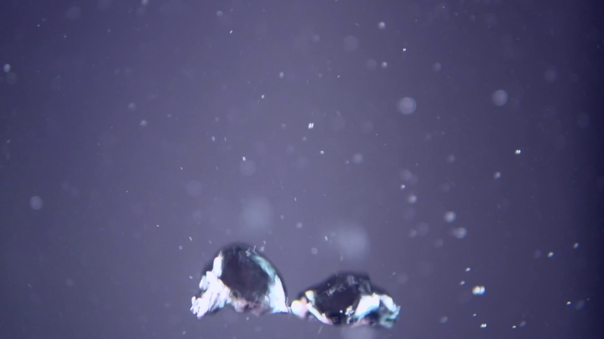 Slow Motion Bubble Background (4 Of 6) Stock Footage SBV-300816164 ...