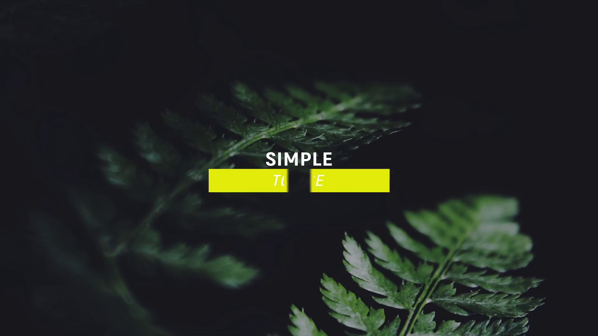 20 Minimal Title Animations 02:46 SBV-309806843 - Storyblocks
